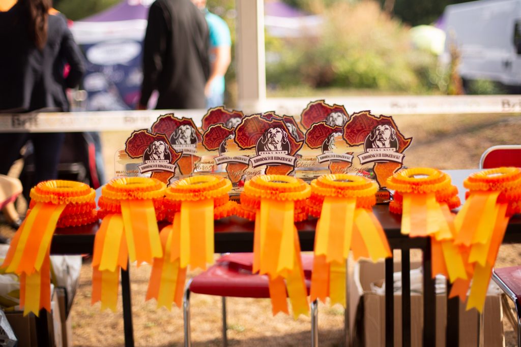 FINÁLNÍ POČTY PSŮ NA JARNÍ KLUBOVOU VÝSTAVU - Český klub Rhodeských ...