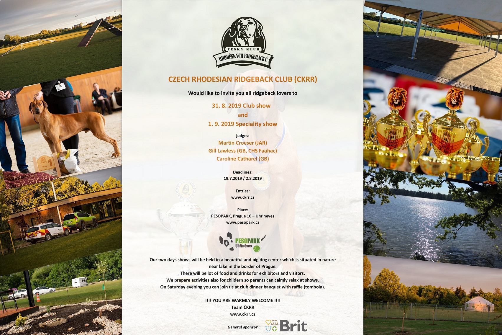 KV a SV - Český klub Rhodeských Ridgebacků