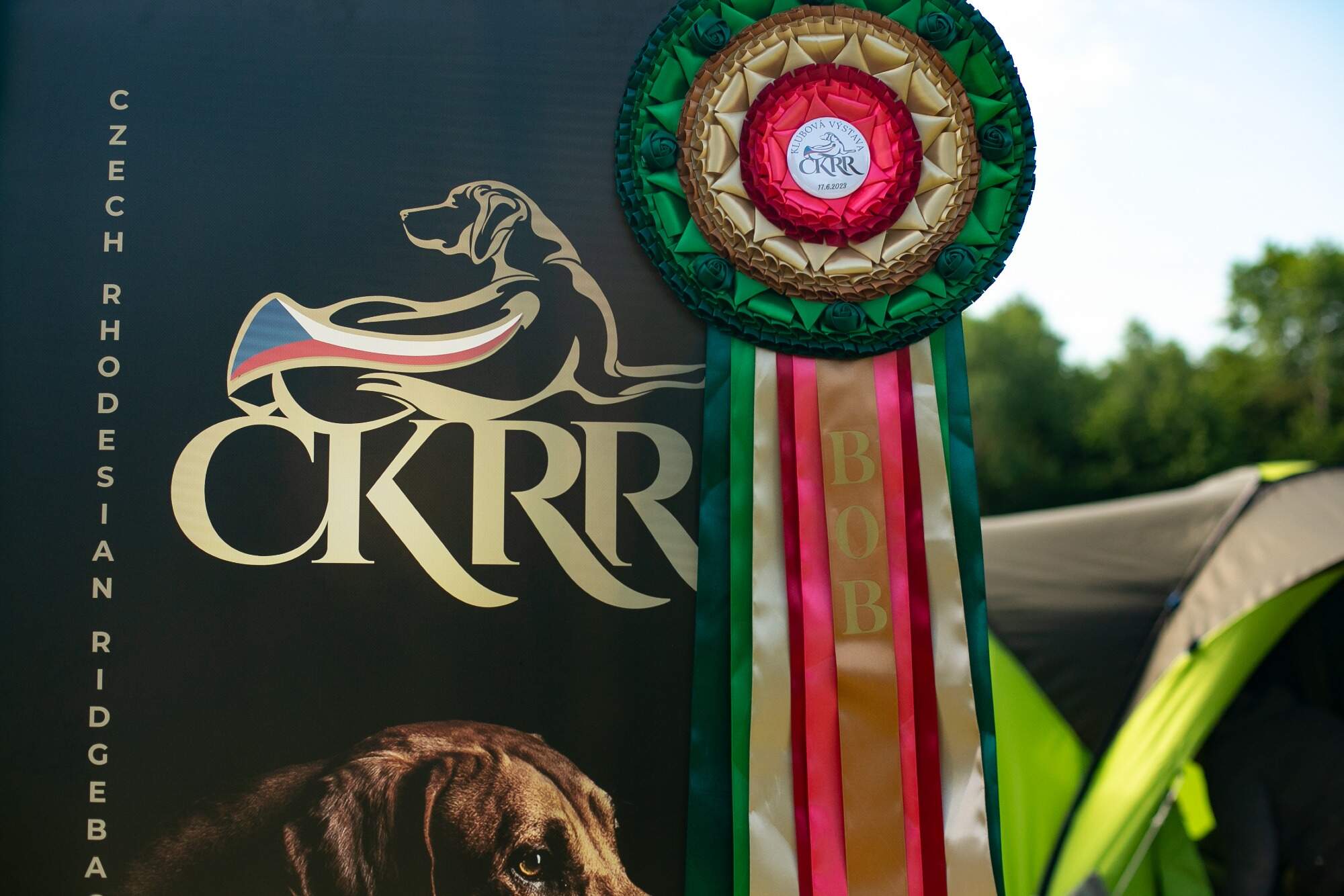 Klubová a speciální výstava 23.+24.9.2023 - Český klub Rhodeských ...