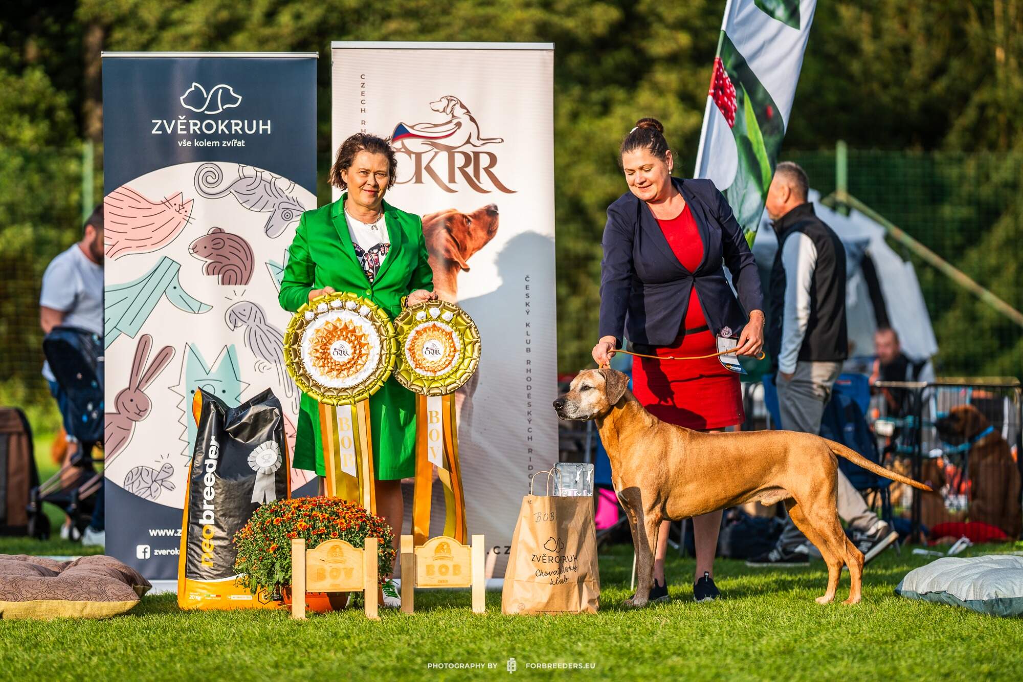 Výsledky KV a SV - Český klub Rhodeských Ridgebacků