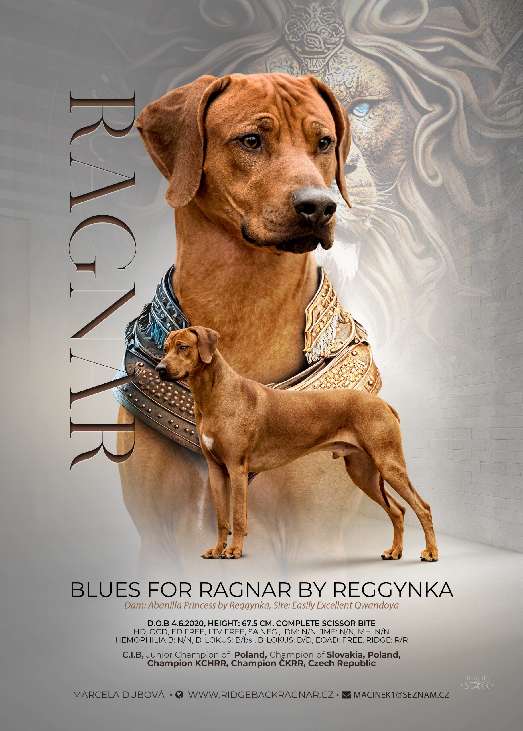 BLUES FOR RAGNAR BY REGGYNKA - Český klub Rhodeských RidgebackůČeský ...