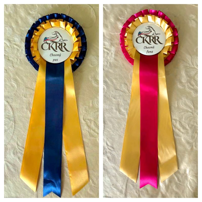 Objednávky kokard - chovný pes/fena - Český klub Rhodeských Ridgebacků